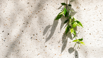 Roctex's Eco-Friendly Textured Wall Panels: Innovating Sustainable Design